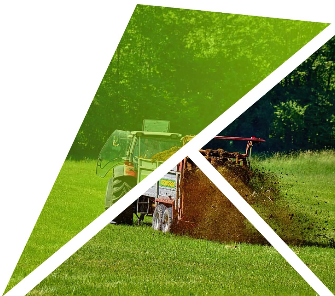 Compost Verde ® – Composta 100% orgánica, vegetal, libre de semillas ...